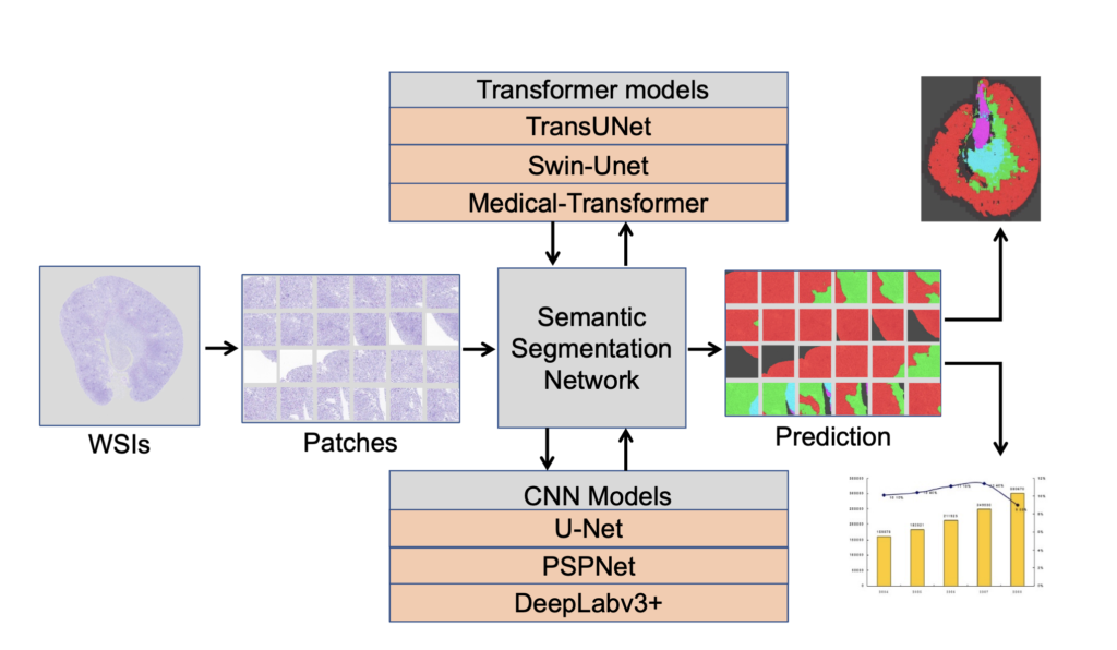 Evaluation Kidney Layer Segmentation on Whole Slide Imaging using Convolutional Neural Networks ...